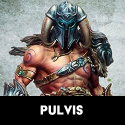PULVIS – Scale75USA