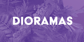 Scale 75 USA - Paints Miniatures and Games – Scale75USA